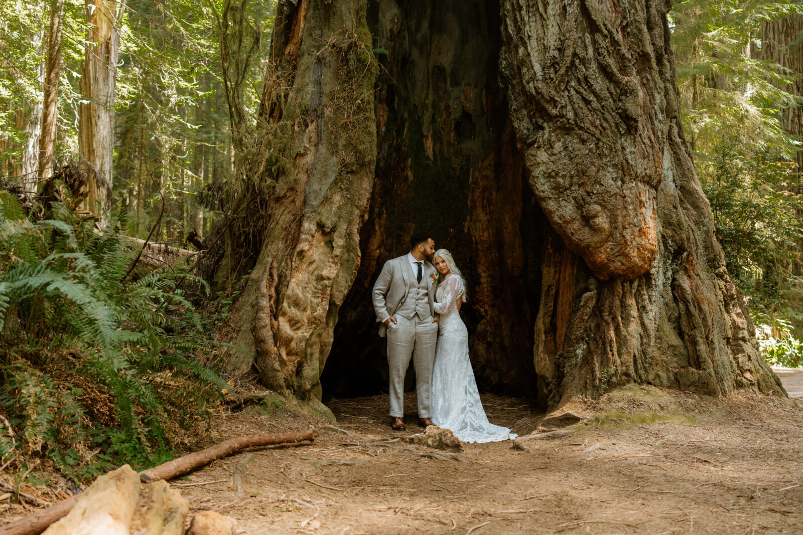 Intimate Wedding in Redwoods National Park - Showit Blog