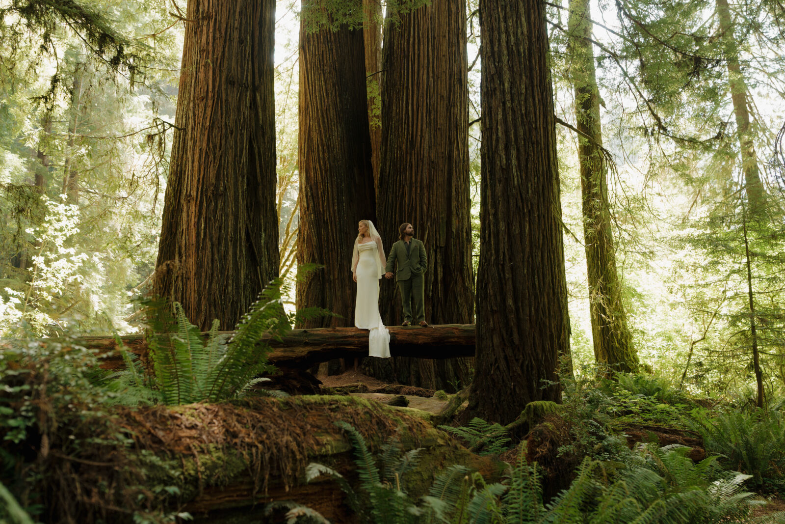 Kianna and Brent’s Redwoods Elopement - Sheryl Anne Photography