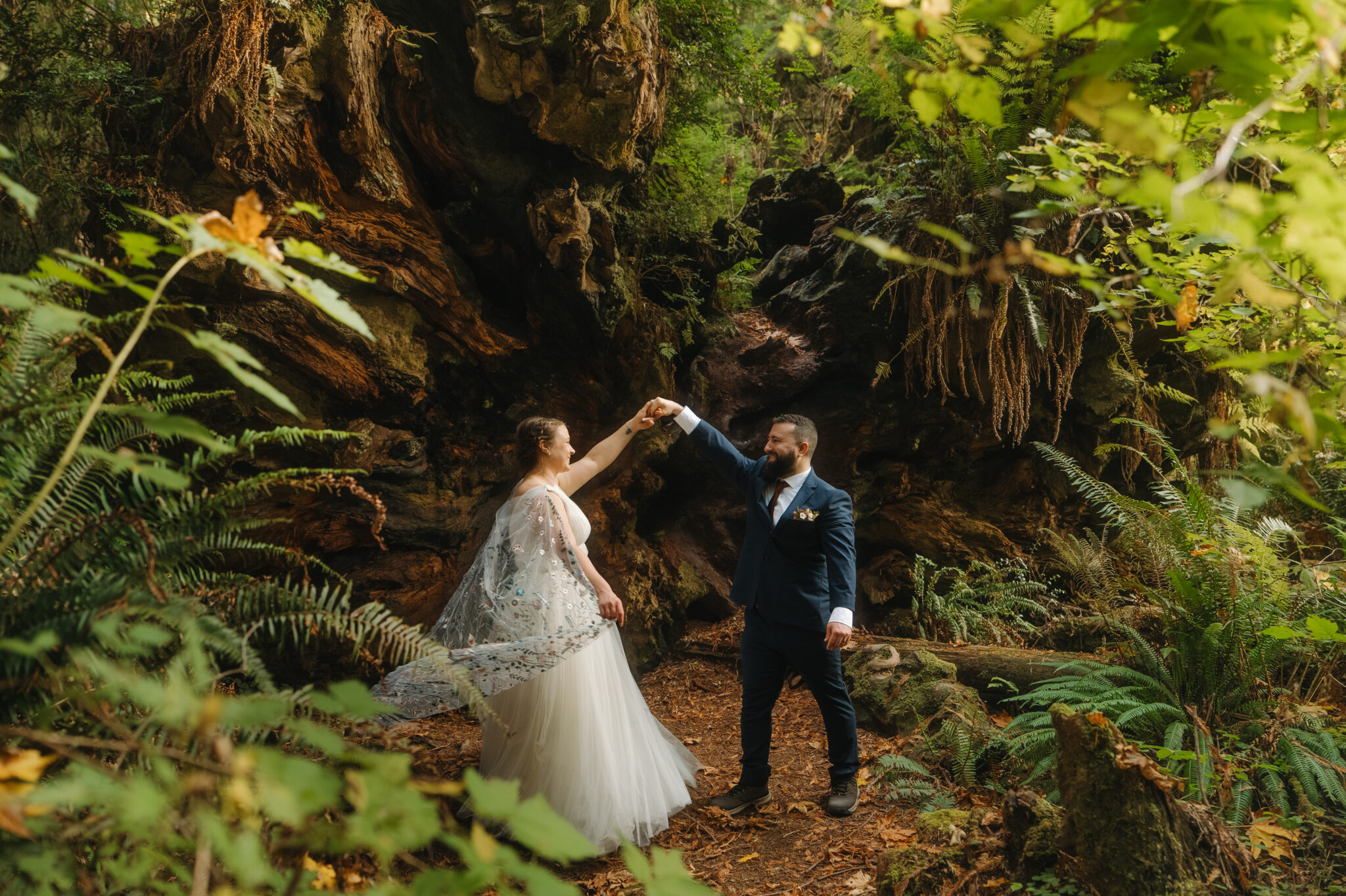 Redwoods Elopement: Elope in the Redwoods Guide [2026] - Sheryl Anne ...